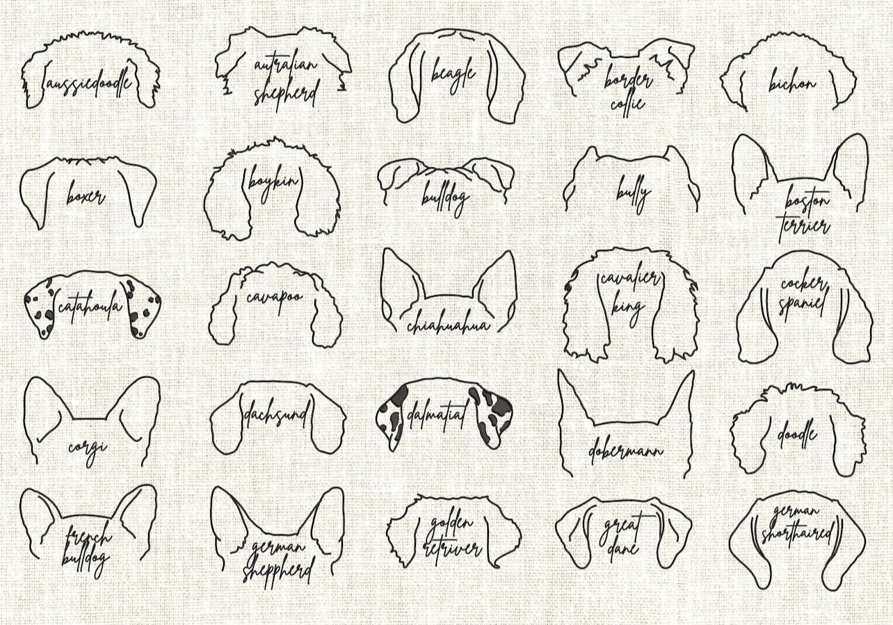 Dog ears – Sweet & Sowers Designs